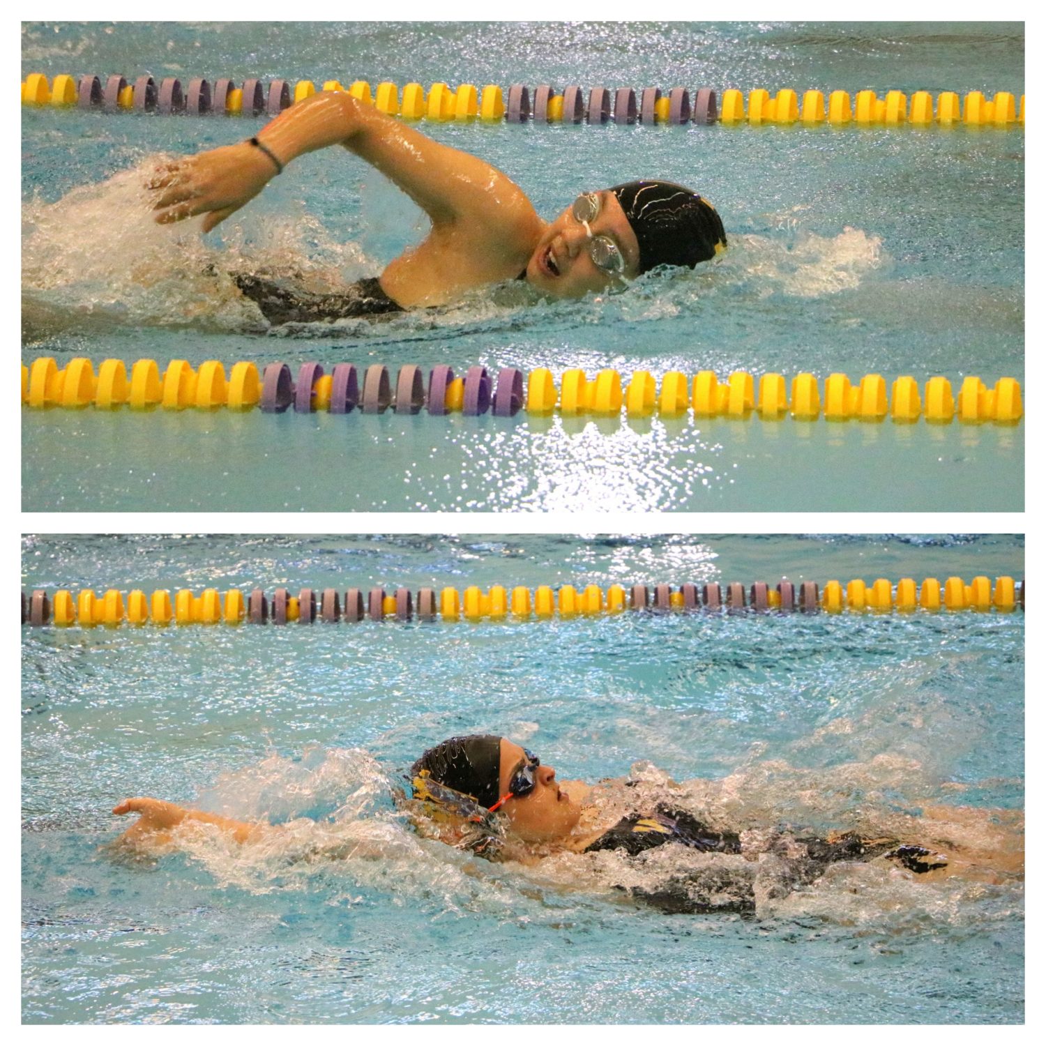 Senior Swimmers Named Academic All-Americans - The Ethel Walker School