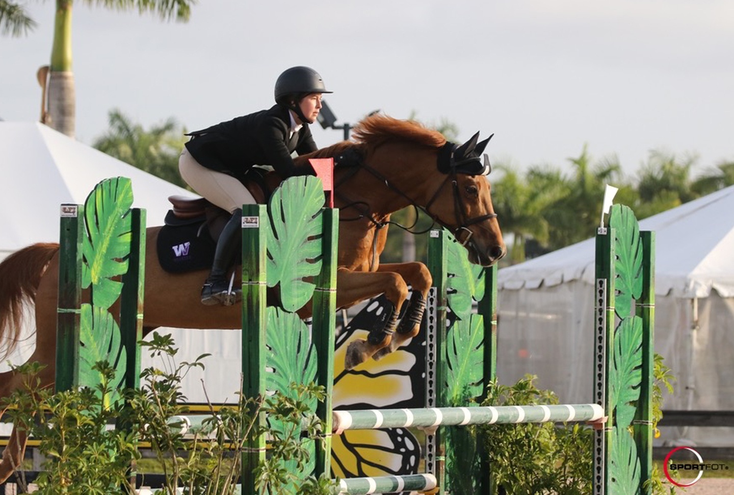 Show Schedule - Ethel Walker School