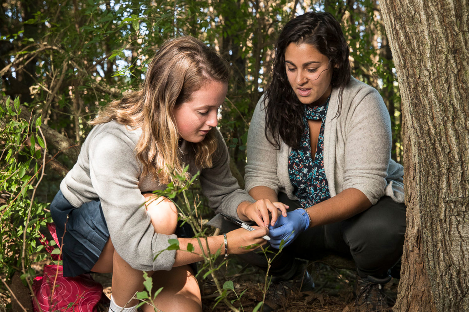 The Ethel Walker School: Private boarding and day school for girls ...