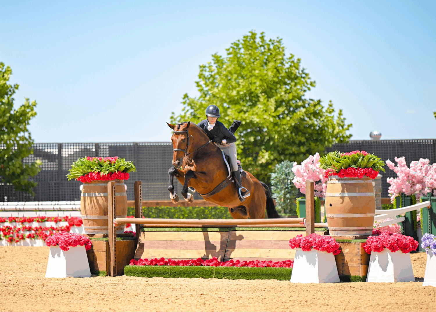Premier Equestrian Center | New England